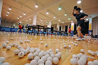 Table Tennis Bug: A great Table Tennis practice session