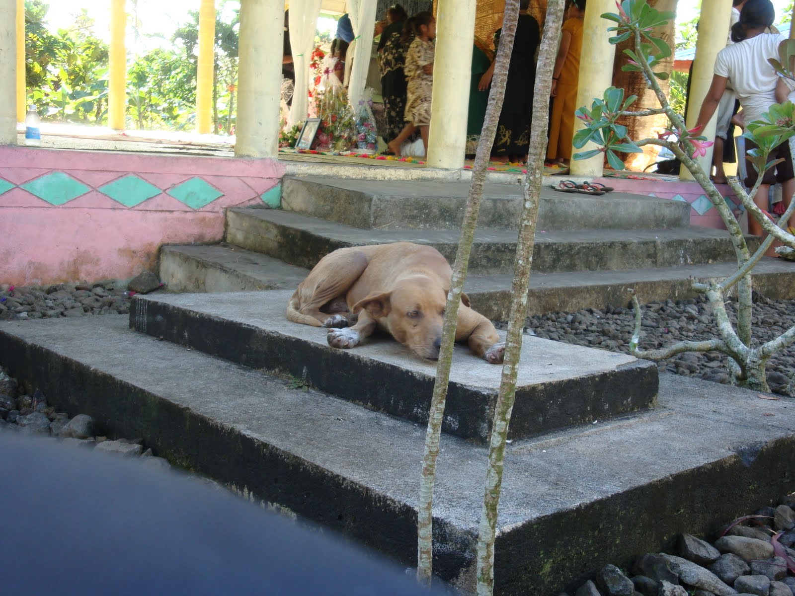 Sautners in Samoa: Graves, superstition, and ghost ....OH MY!
