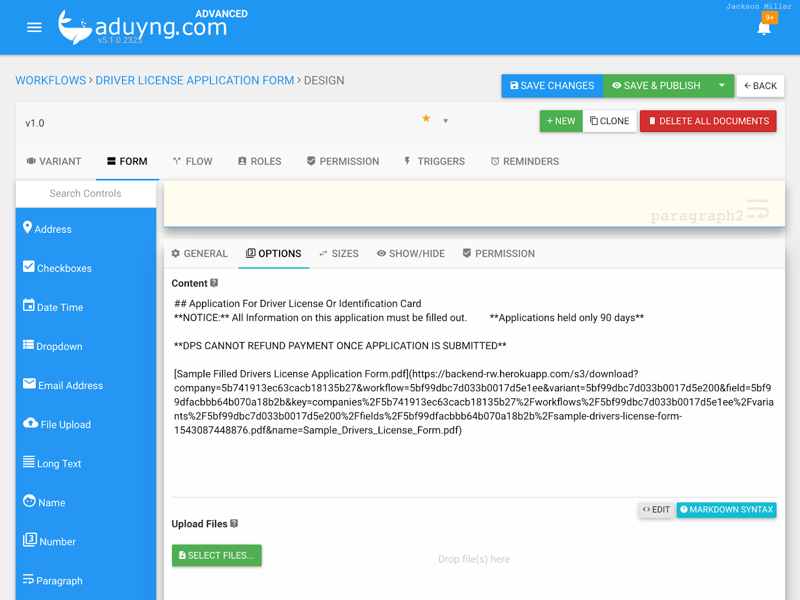 Rethink Workflow Support: Paragraph Control
