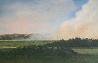 Six Artists Six Prairies: Paynes Prairie Muck Fire