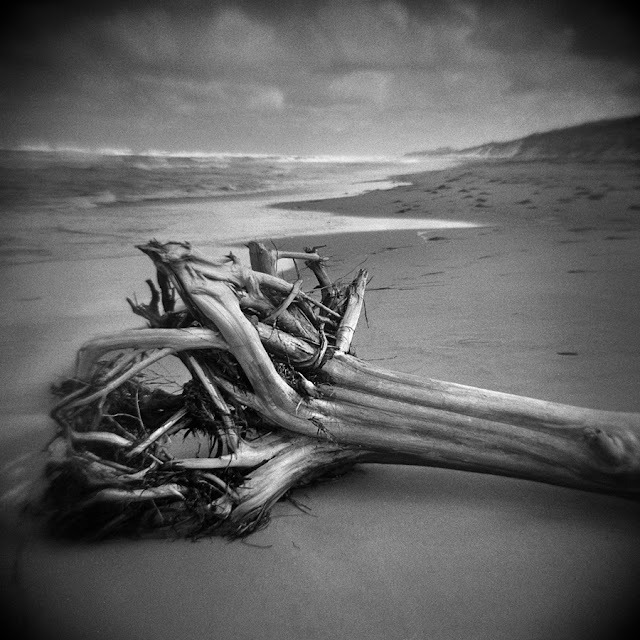 A Special Day With James Rohan - Prince Edward Island