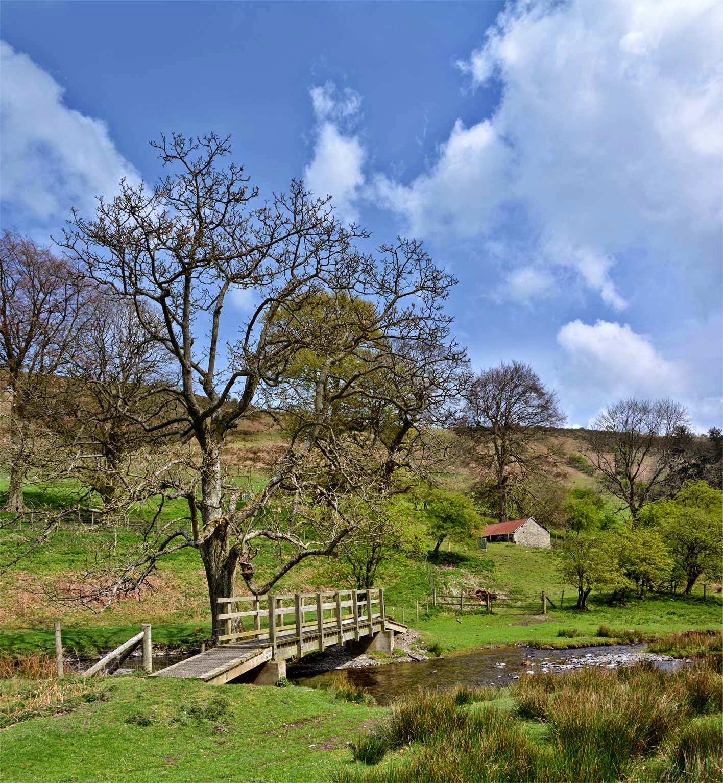 Highest Points: 90 - Great Rhos - Radnorshire - 23rd-25th April 2014