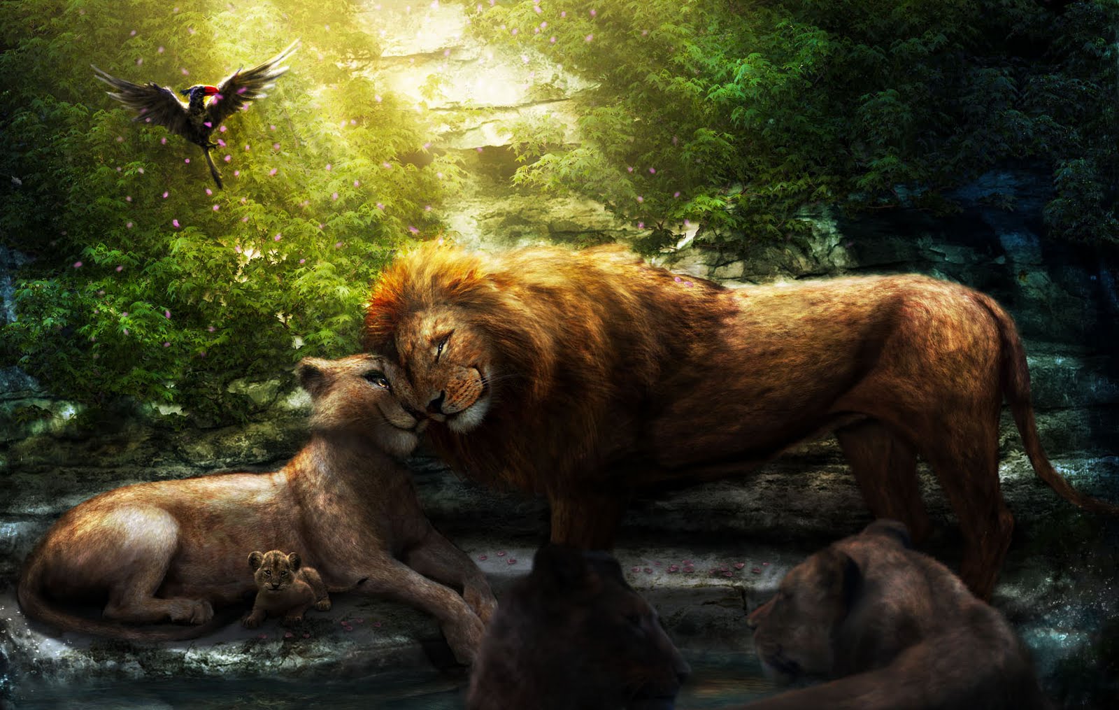 Banco de Imágenes Gratis: Familia de felinos - Lions family