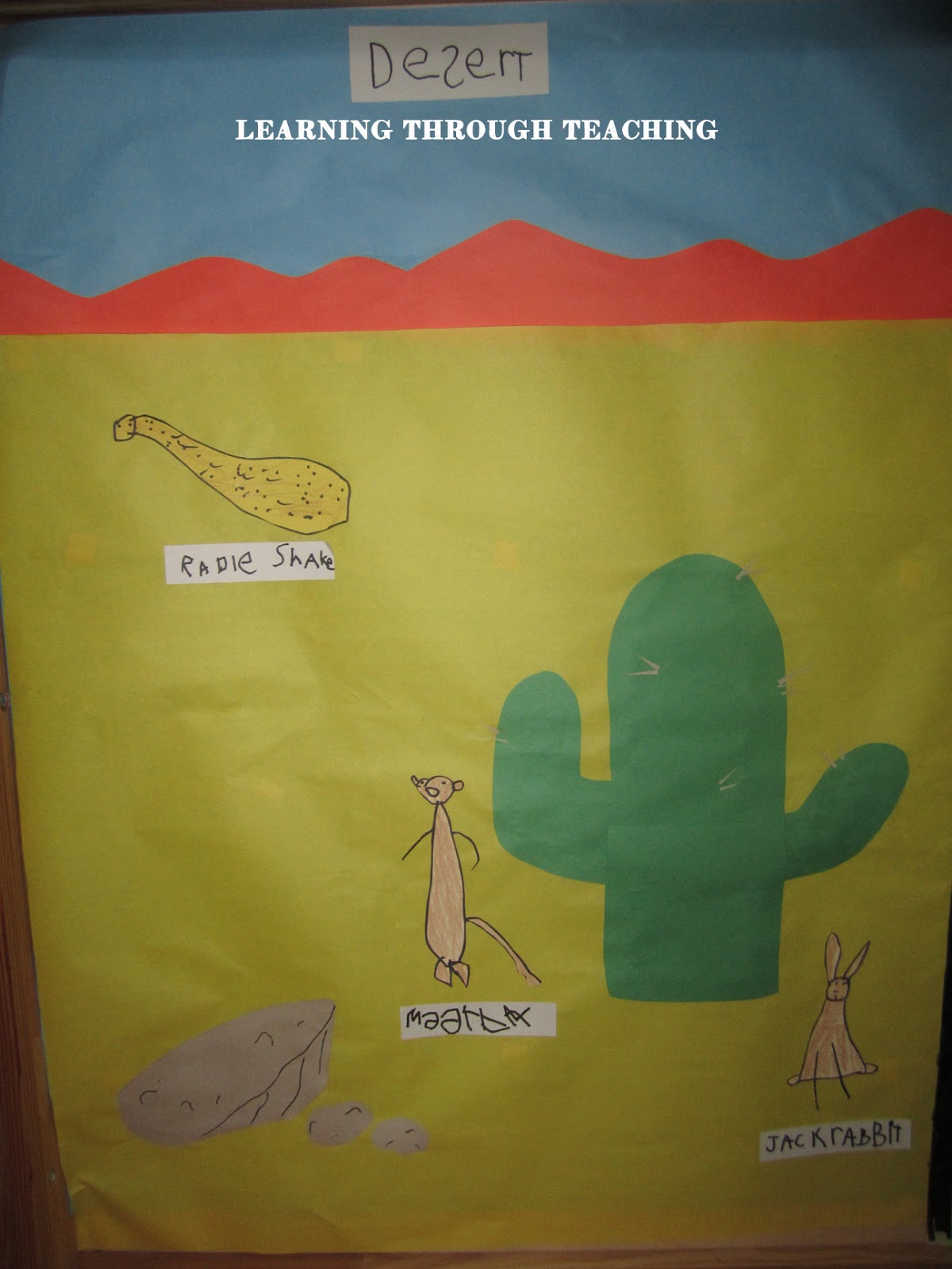 learning through teaching: welcome to our zoo