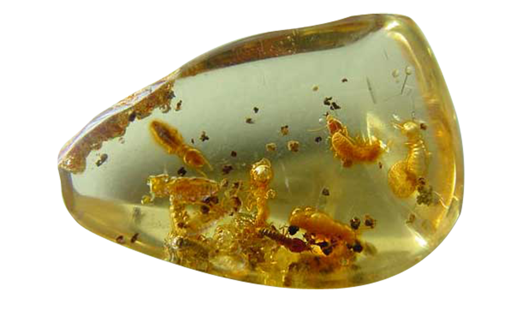 Tutku Gümüş: Kehribar Nedir? Tehbih Modelleri