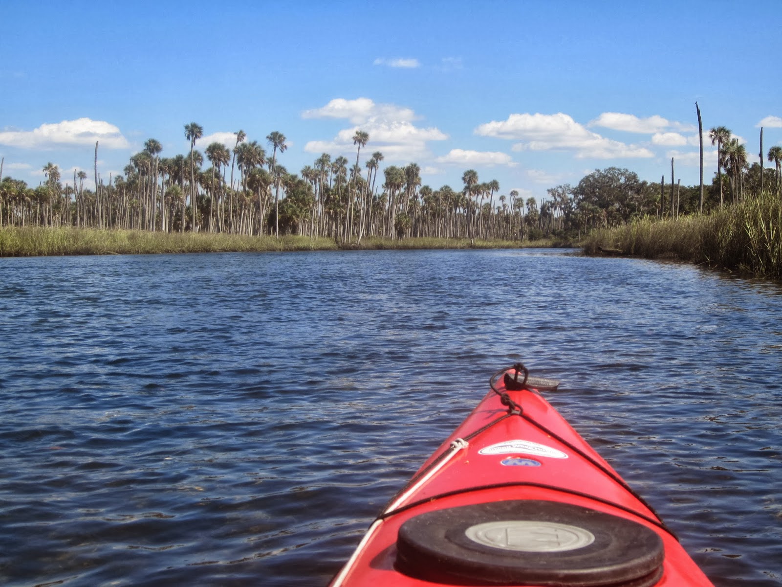 Dave's Yak Tales: Weeki Wachee, Mud River, and Salt Spring