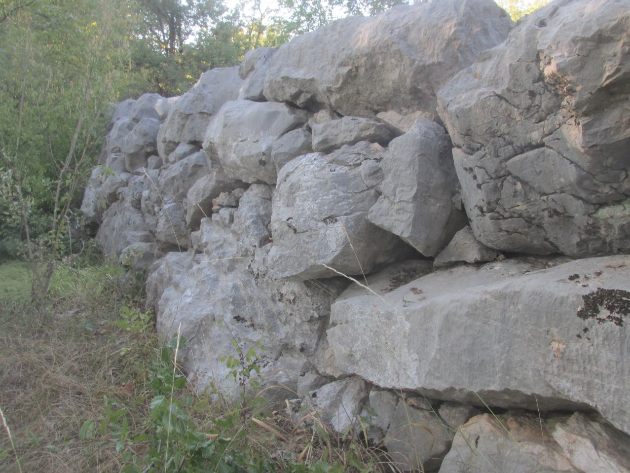 OTKRIĆE MONUMENTALNE ANTIČKE (ILIRSKO-RIMSKE) CESTE KOD POSUŠJA ...