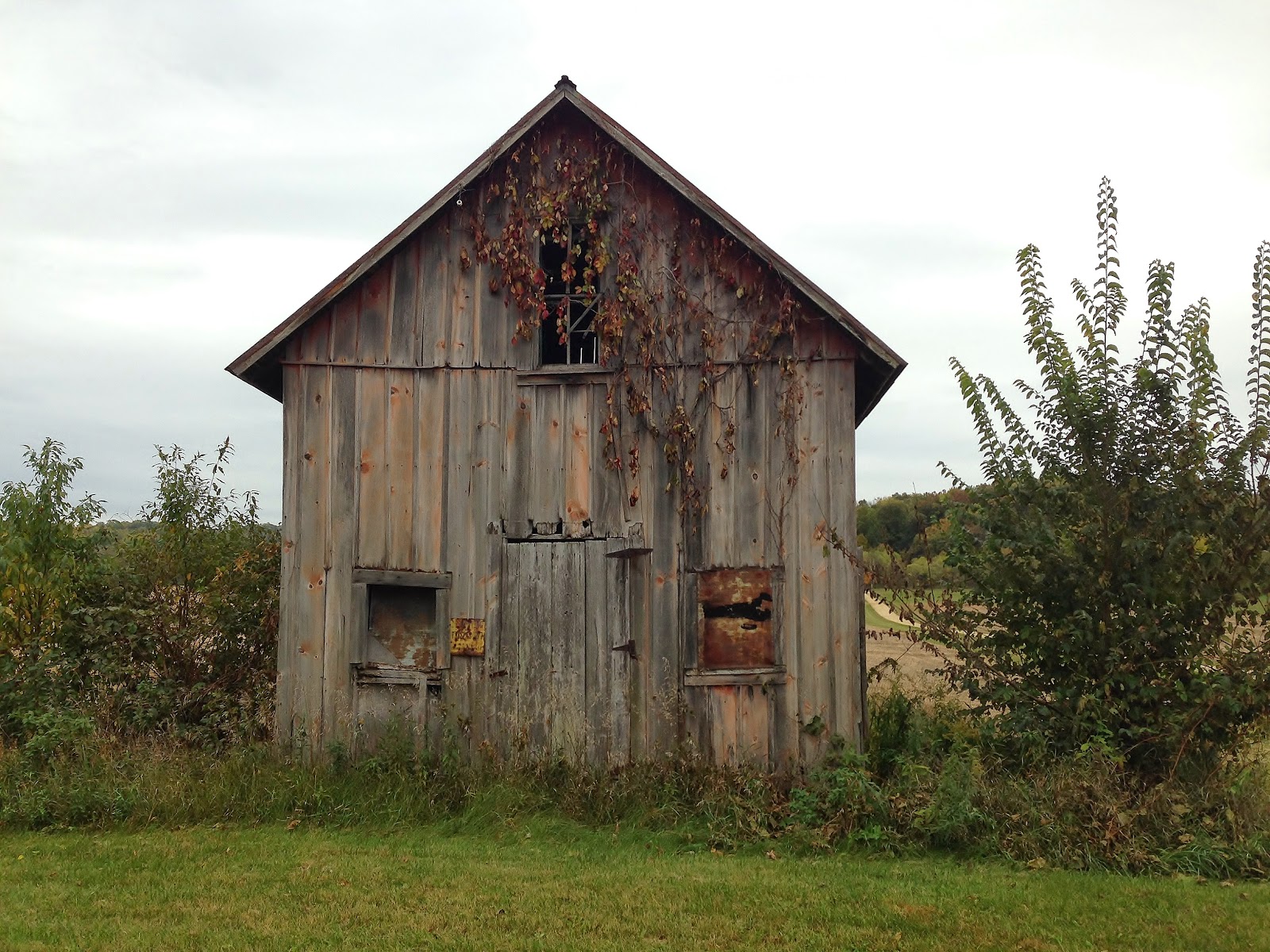 Scattered Seed Samplers: ~ Lady Rachel Ruth Released