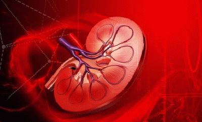 Best Urologist in India | Kidney Failure Treatments in Kerala