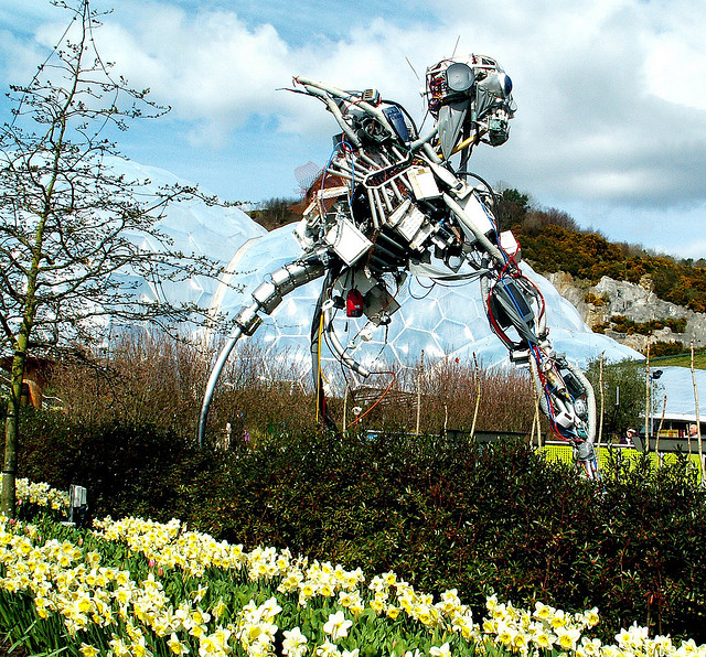 The Wanderings of the WEEE Man ~ Kuriositas