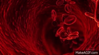 ANEMIA EN RECIÉN NACIDOS: CAUSA