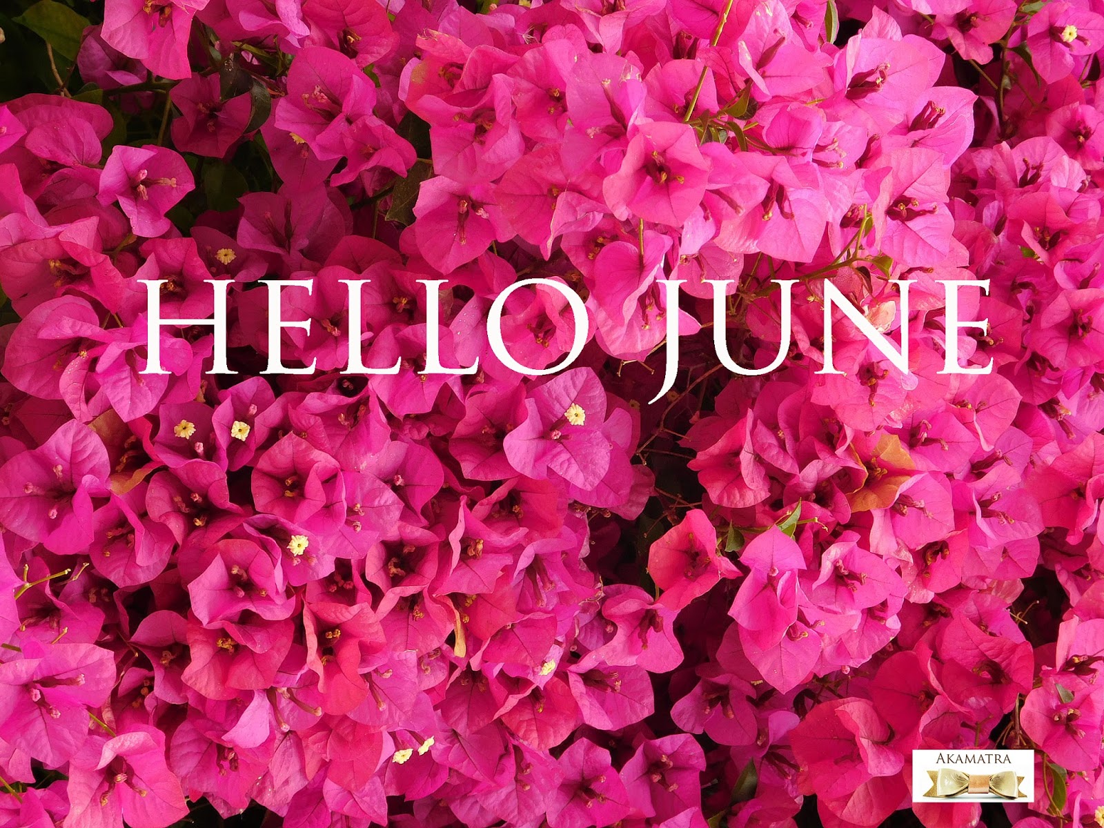 Hello June! - Akamatra