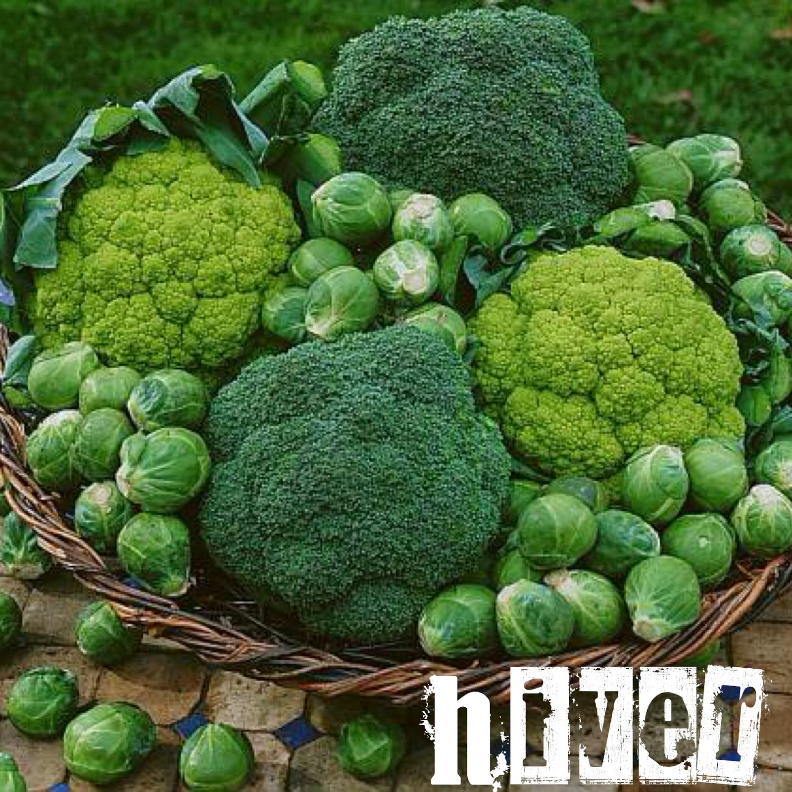 Bien Plus Que 5 Fruits Et Légumes: C'est de saison en hiver