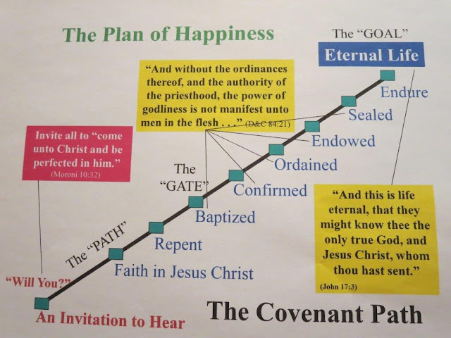 The "Life of Riley" in Mexico City: November 2015