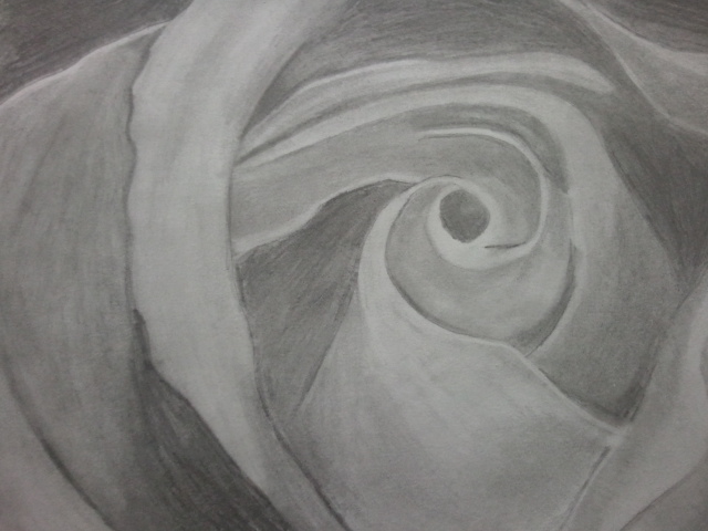 Visual Arts: Advanced Art pencil drawings