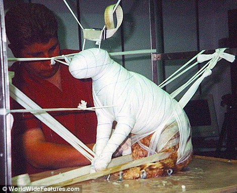 Questions On Dogs and Cats: STRANGE TALES (TAILS) OF DOGS AND CATS