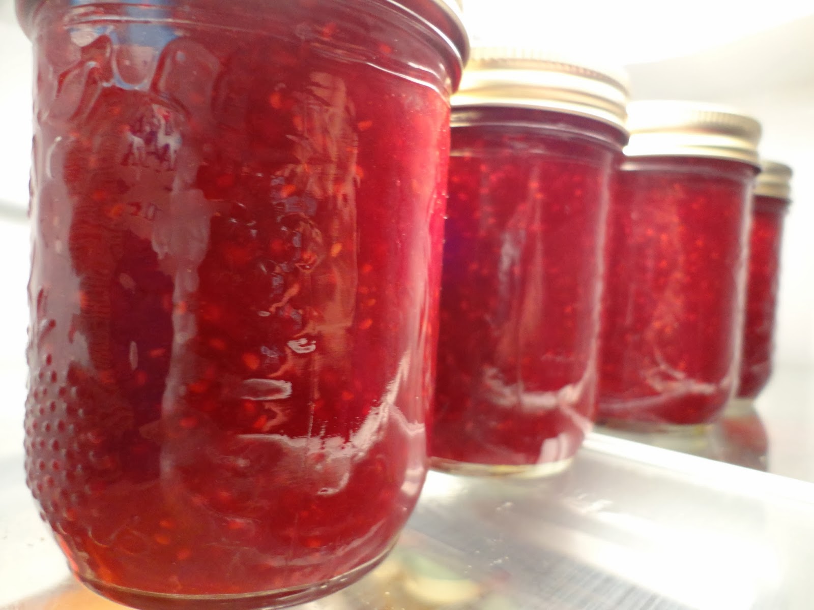 Jammin' my life away: What the Jam?!