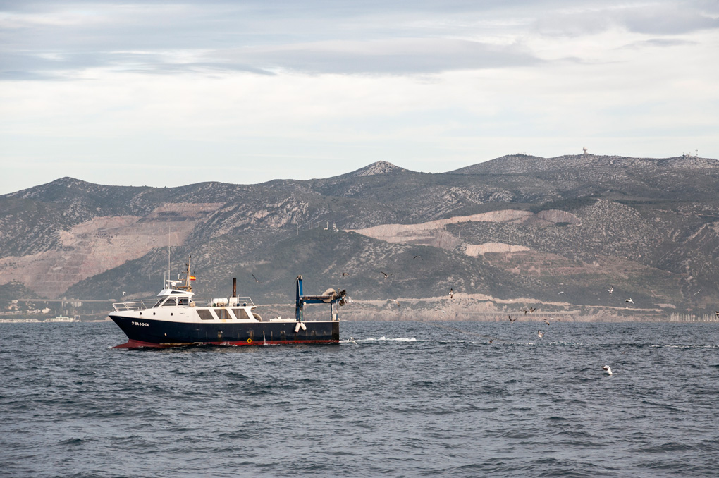 La pesca del Galan ~ Eder Pozo