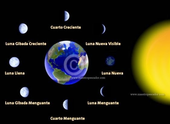 CONOCIMIENTO DEL MEDIO SOCIAL, CULTURAL Y NATURAL