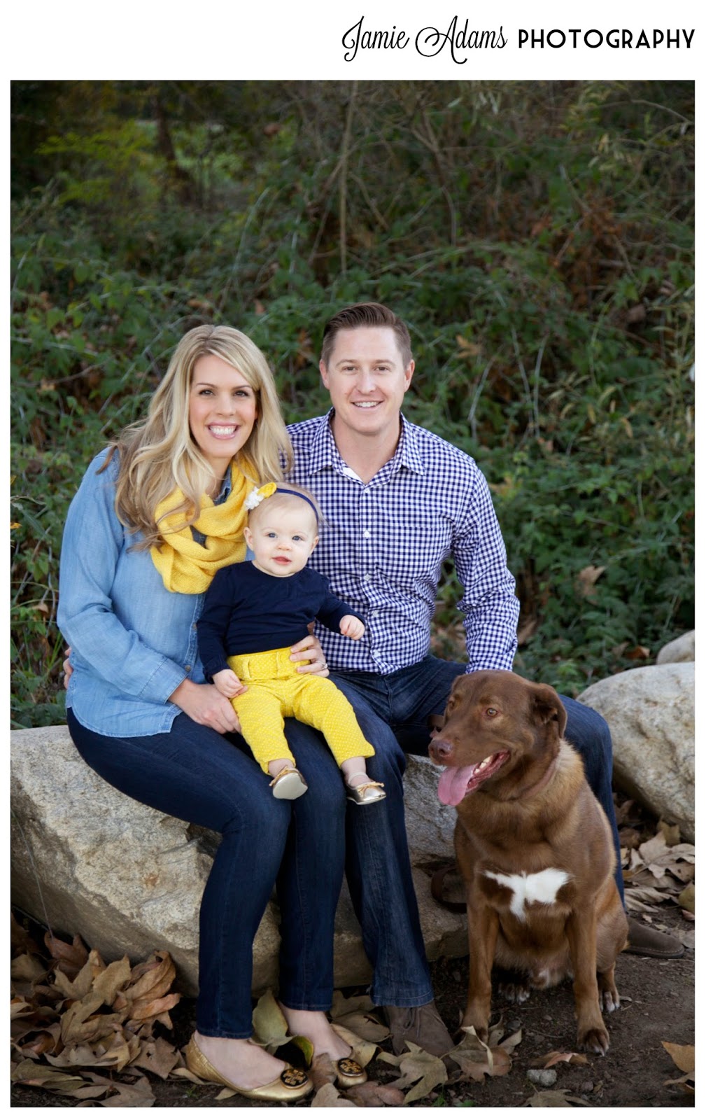 Jamie Adams Photography