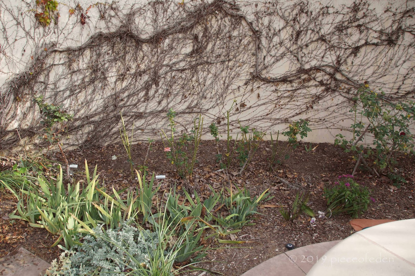 Tell The Truth Tuesday: Bad Proportions