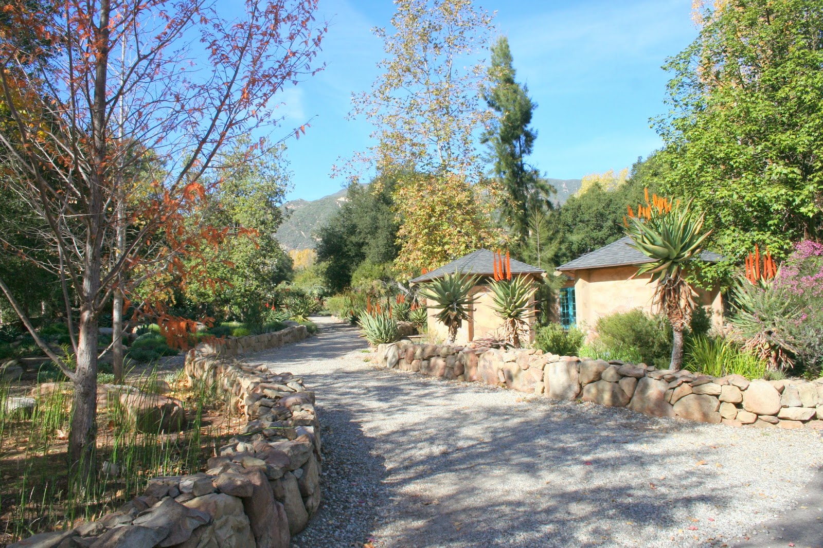 Ojai Taft Gardens at Conservation Endowment Fund: Exploring the ...