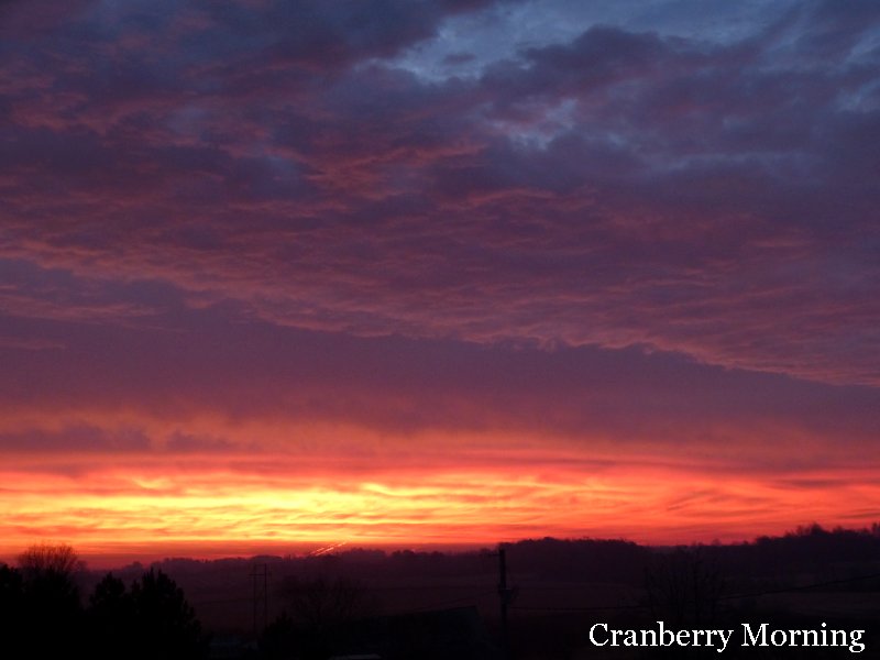 Cranberry Morning: The Sun Comes Up, It's a New Day Dawning