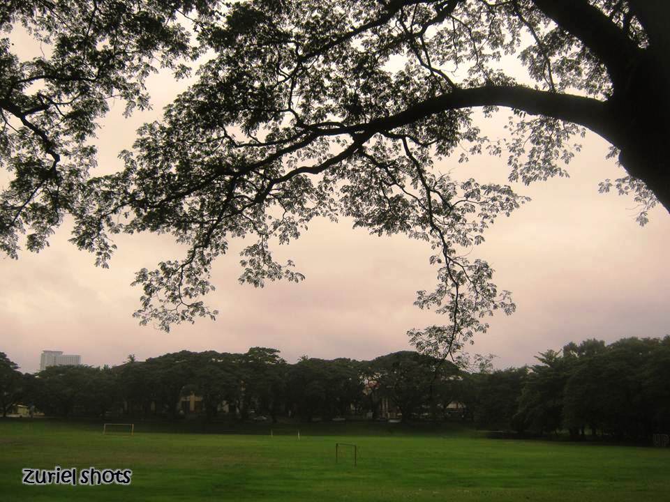 Zuriel Shots: UP Sunken Garden