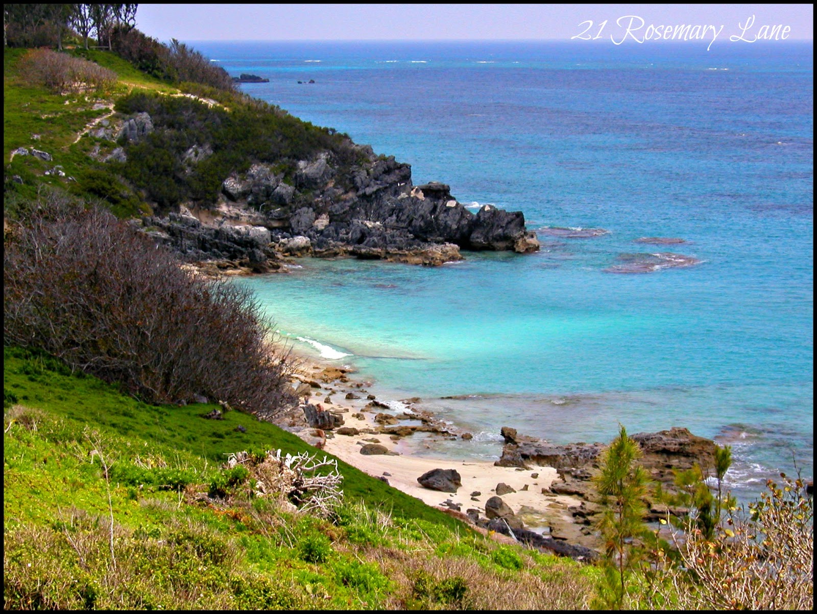 21 Rosemary Lane: Chasing Away the Winter Blues