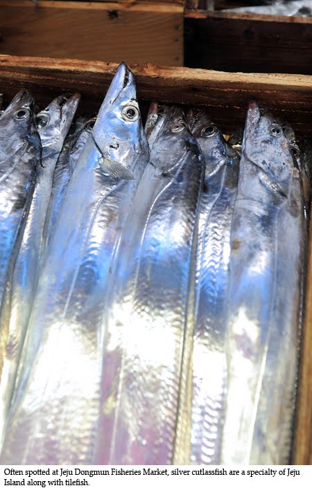 Mystic Korea: Dongmun Fisheries Market in Jeju Island