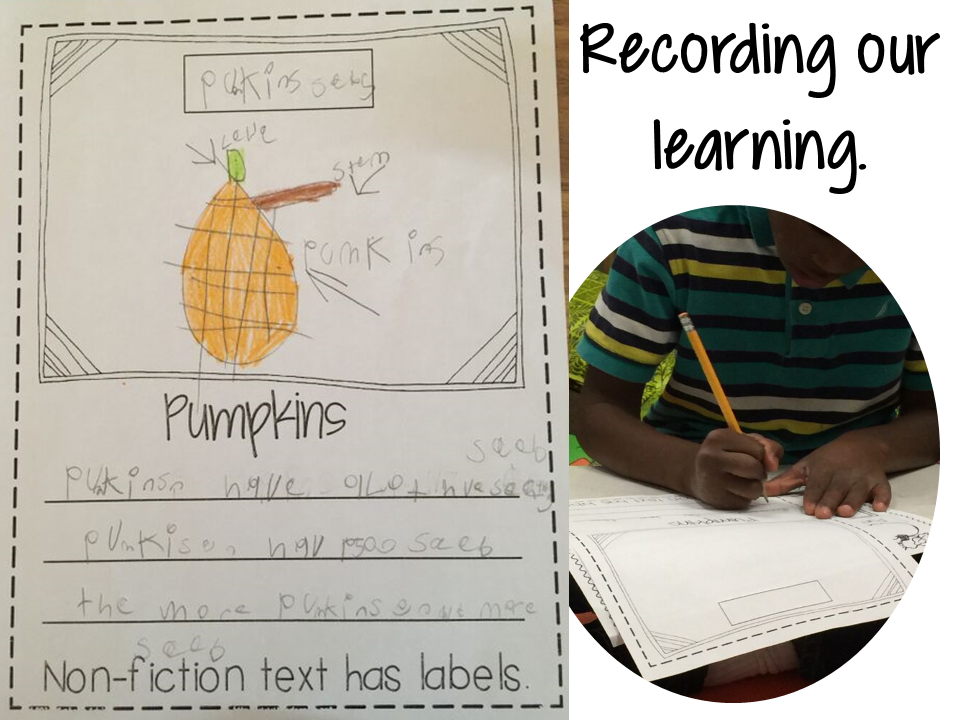 Blog Hoppin': Pumpkin Investigation