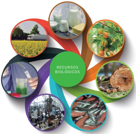 La Ciencia de Amara: El bosque, fuente y forma de vida