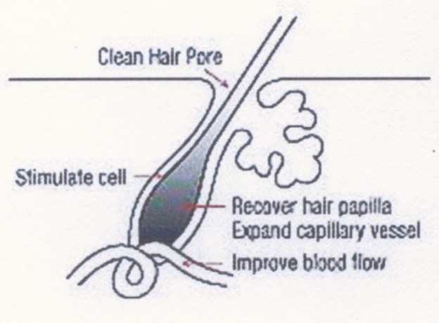 Obat Penumbuh Rambut Alami | Perawatan Rambut Rontok