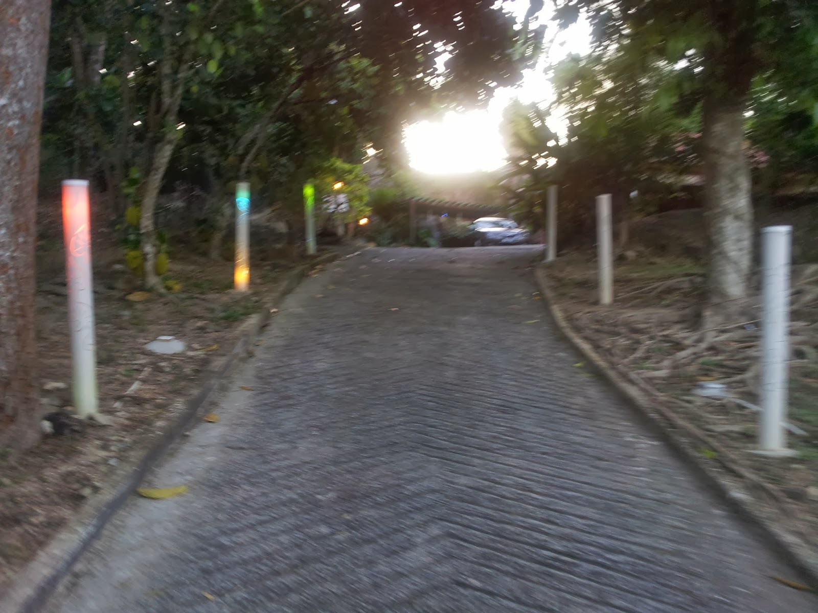 BusybeingBossy: Restoran Bunga Naga Atas Bukit