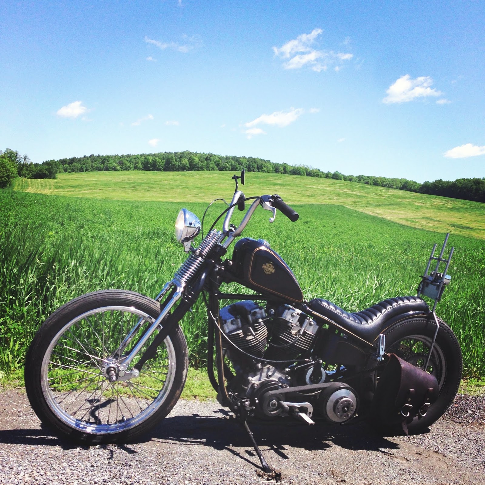 Harley Chopper Photo Blog