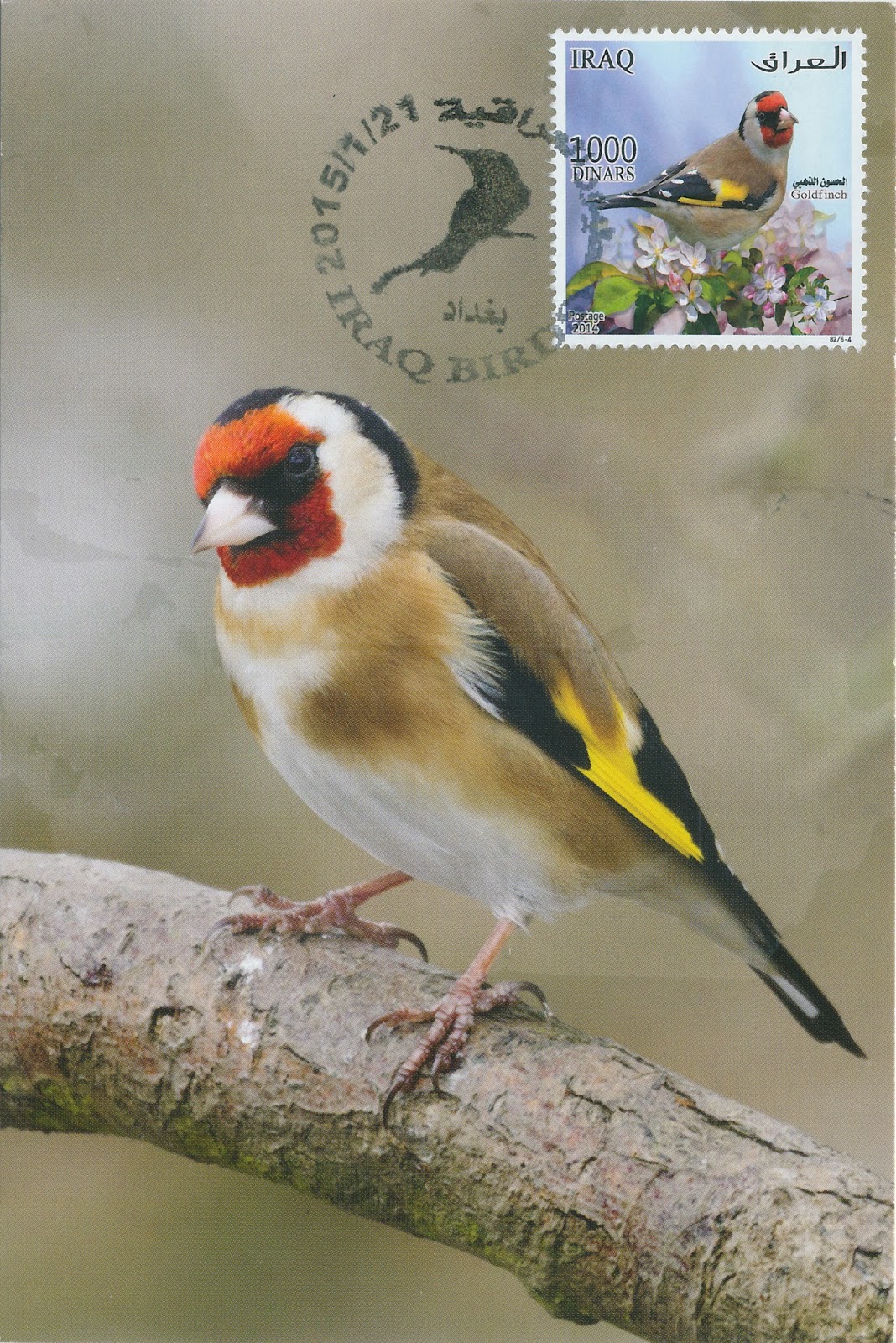 Philatelic of Birds: Iraqi birds