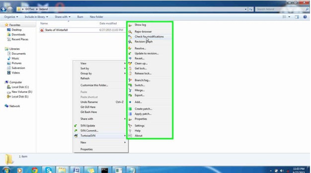 Subversion: SVN (Log Status Diff)