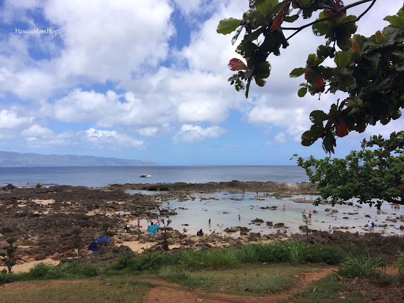 Hawaii Mom Blog: Pupukea Tide Pools