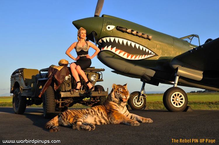 Grimreapers83 Homebuilt Cockpit Tiger Pin Up