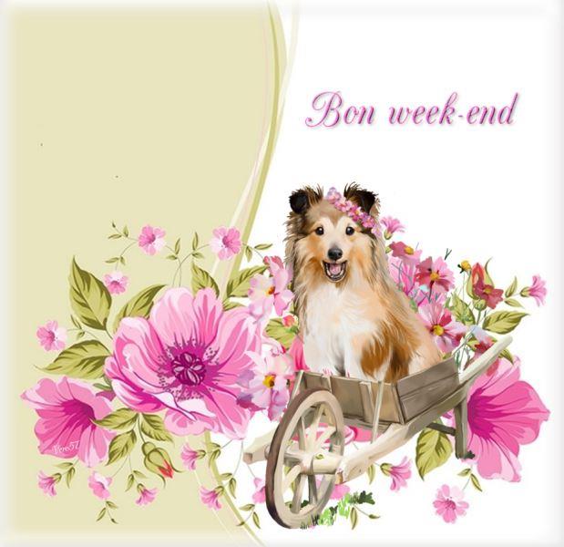 Mes créations pps et cartes virtuelles: Bon week-end