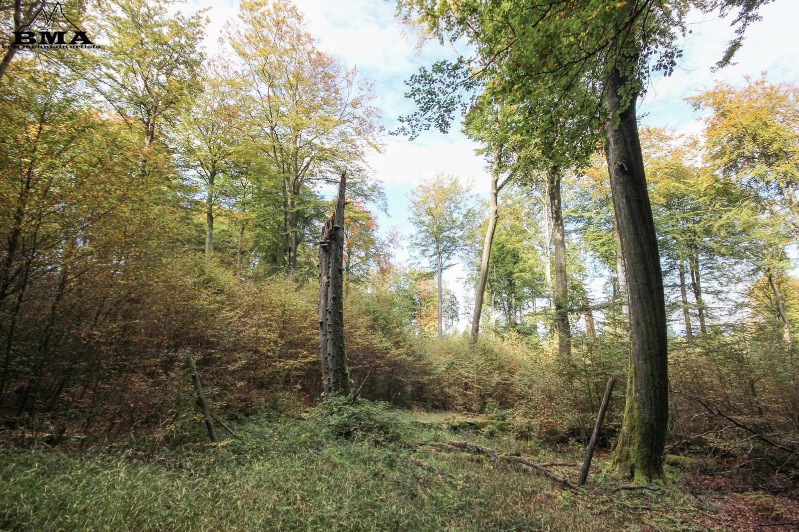Wanderung Westerwald Wandern Rund um den Köppel Montabaur