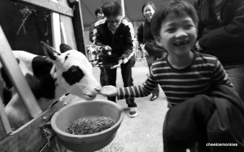 Cheekiemonkies: Singapore Parenting & Lifestyle Blog: Cheekiemonkies in ...