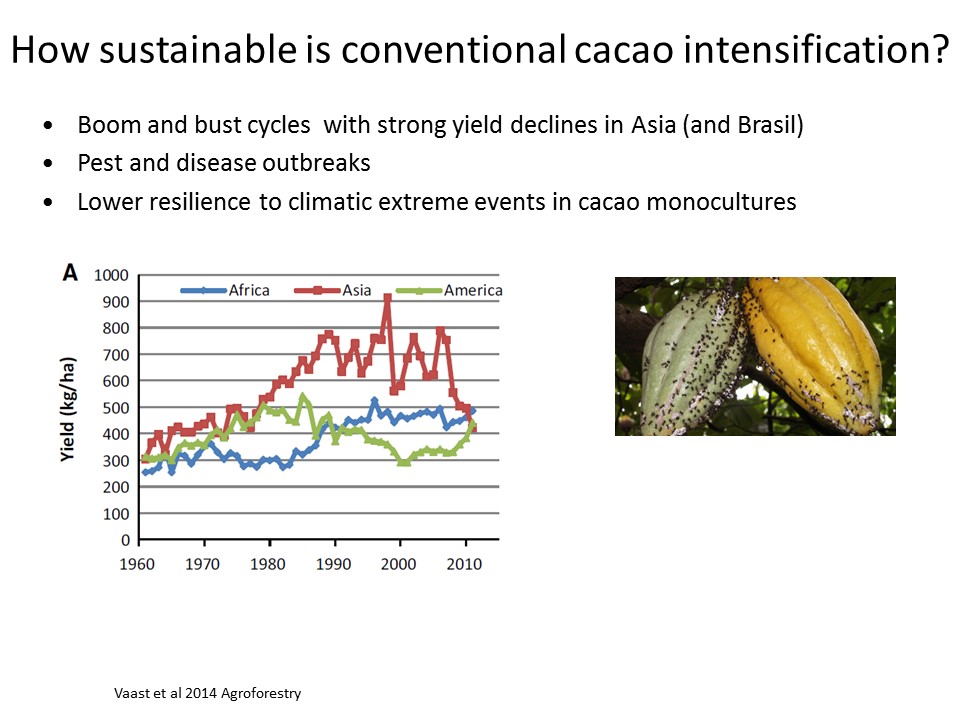 Investiga Innova Cacao Chocolate - Research Innova Cocoa Chocolate ...