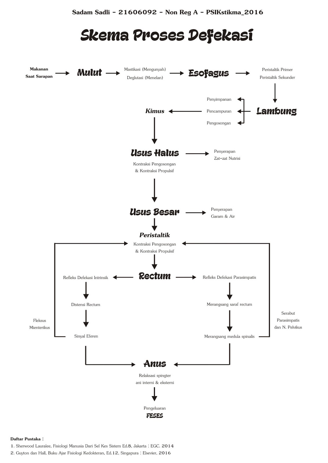 Damzadly: Pathways Proses Defekasi