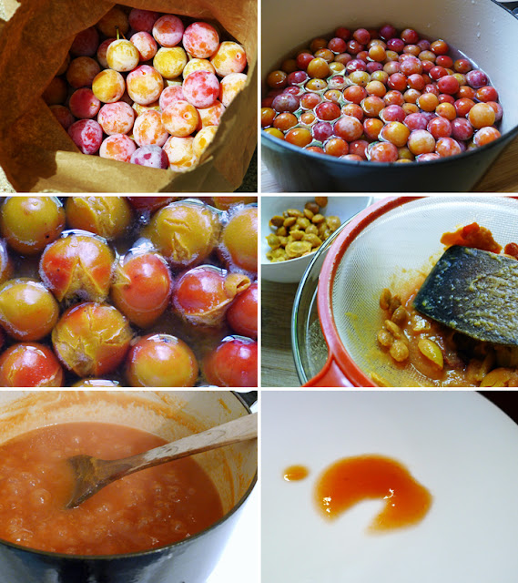 Cooking Weekends: Wild Mexican Plum Jam