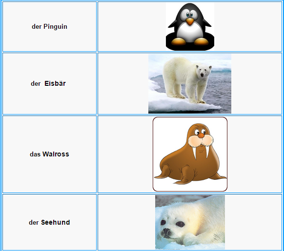 German Vocabulary - Animals « L E A R N G E R M A N