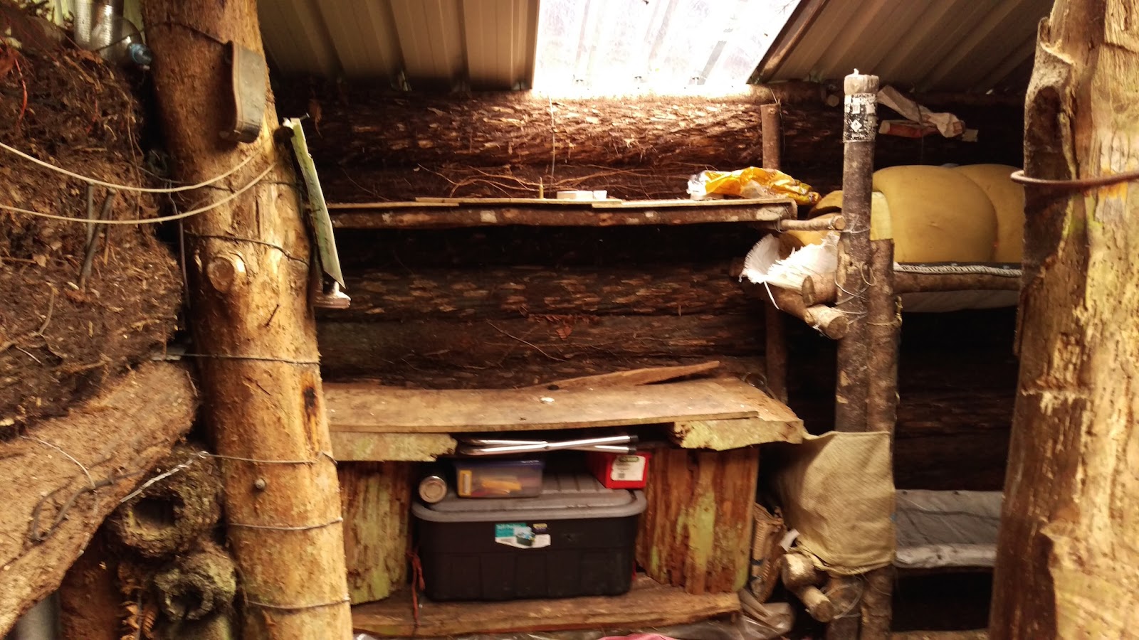 Tramping: Punga Hut or Miro Valley Hut