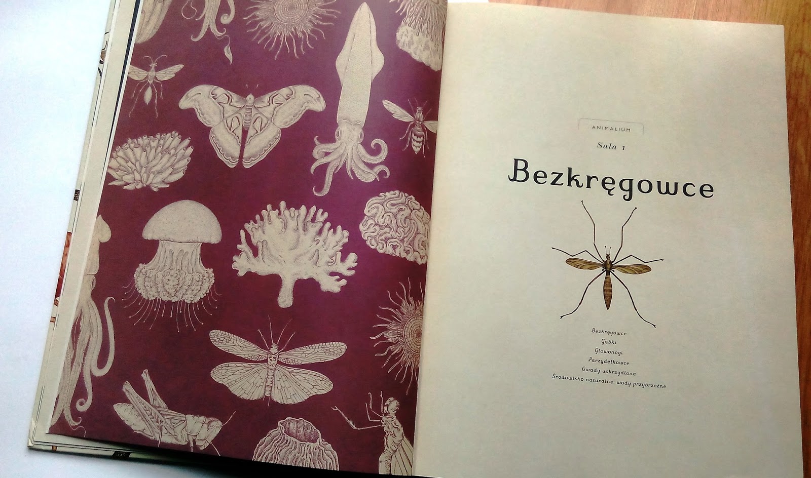 Mama do Sześcianu: Animalium - Muzeum Zwierząt