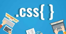 Learn CSS Complete Guide Flexbox, Grid and Sass