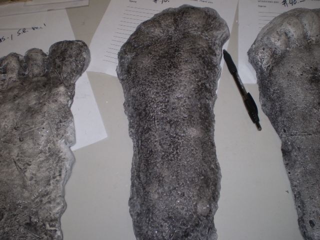 Sasquatch Tracks: Pictures of Sasquatch Tracks and Casts